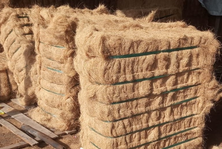 Woyla & Co. – PT Woyla Neogen Indonesia